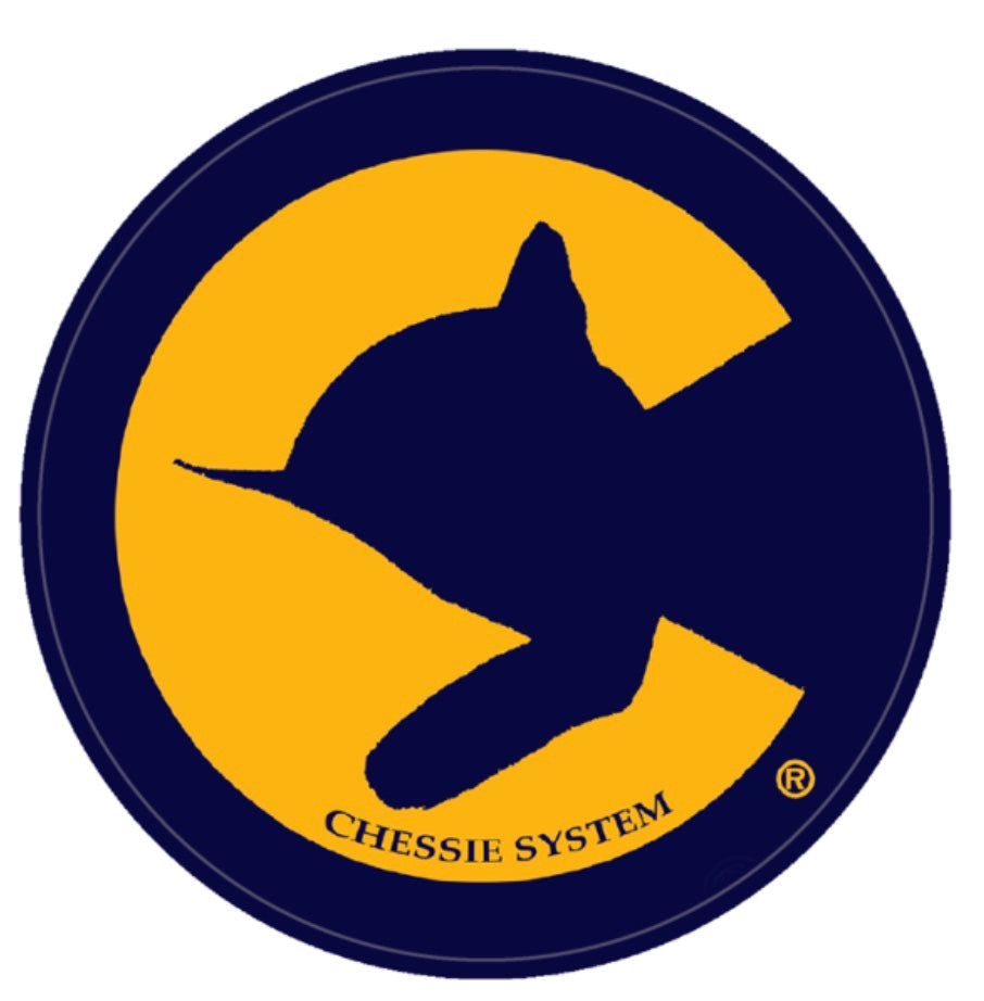 Chessie Vinyl Sticker – VintageTransCo